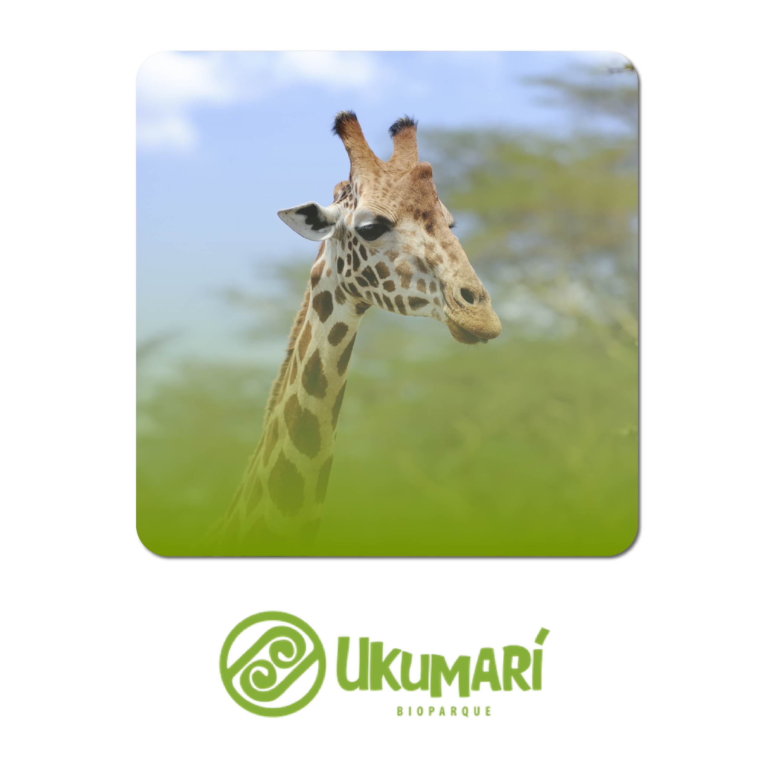 Bioparque Ukumari – Tu Comunidad